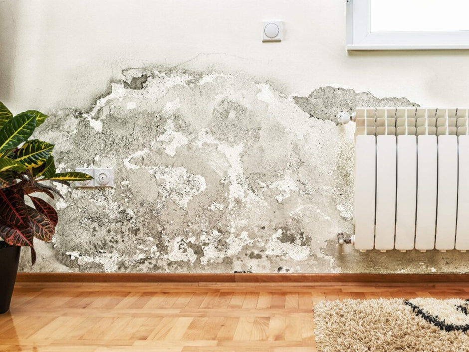 Tanking A Cellar 101: The Complete Basement Tanking Guide (Floor And W
